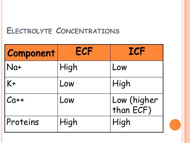 Maintainance & replacement fluid therapy pediatrics AG
