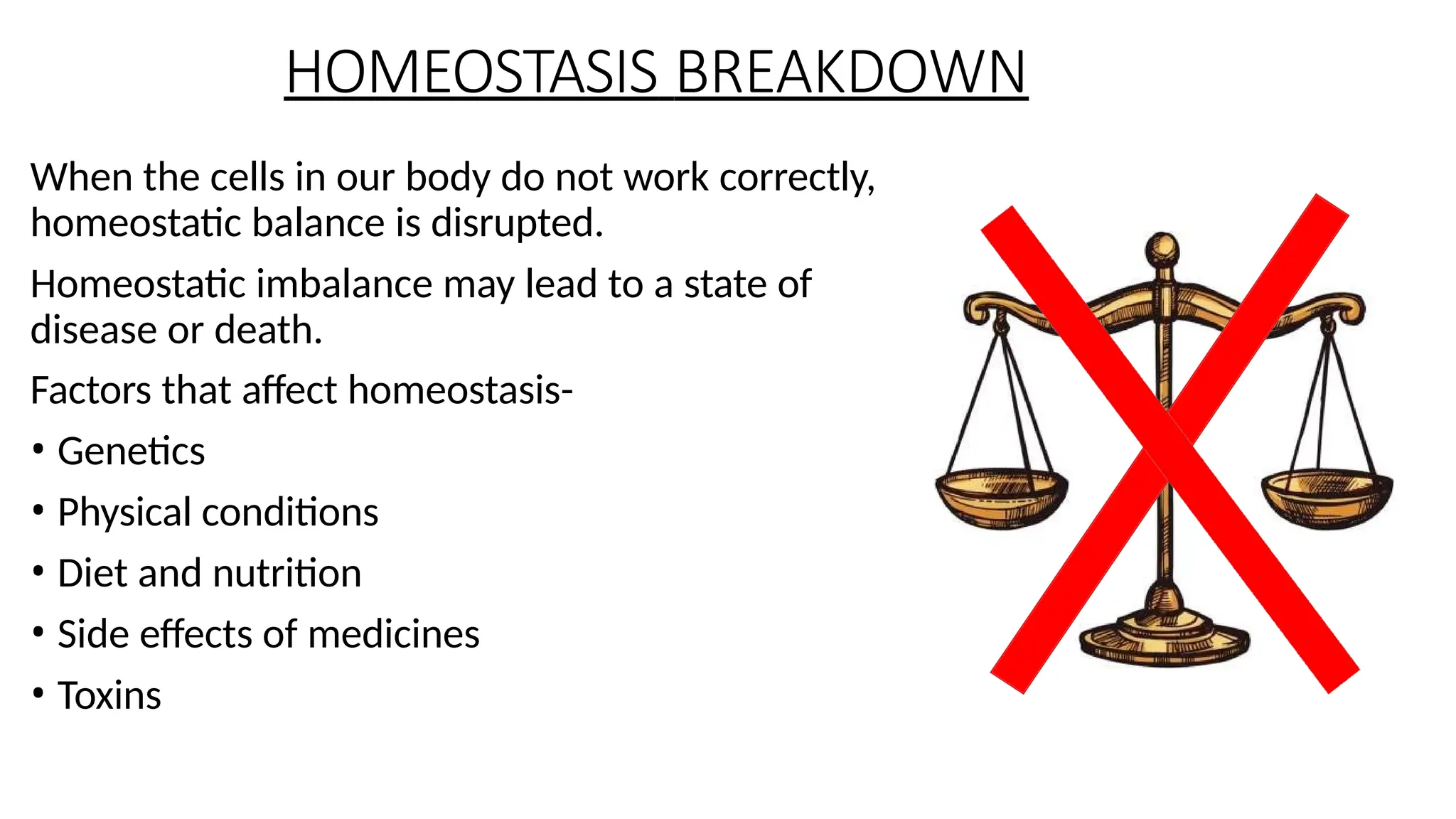 Maintaining Homeostasis in sports Science.pptx