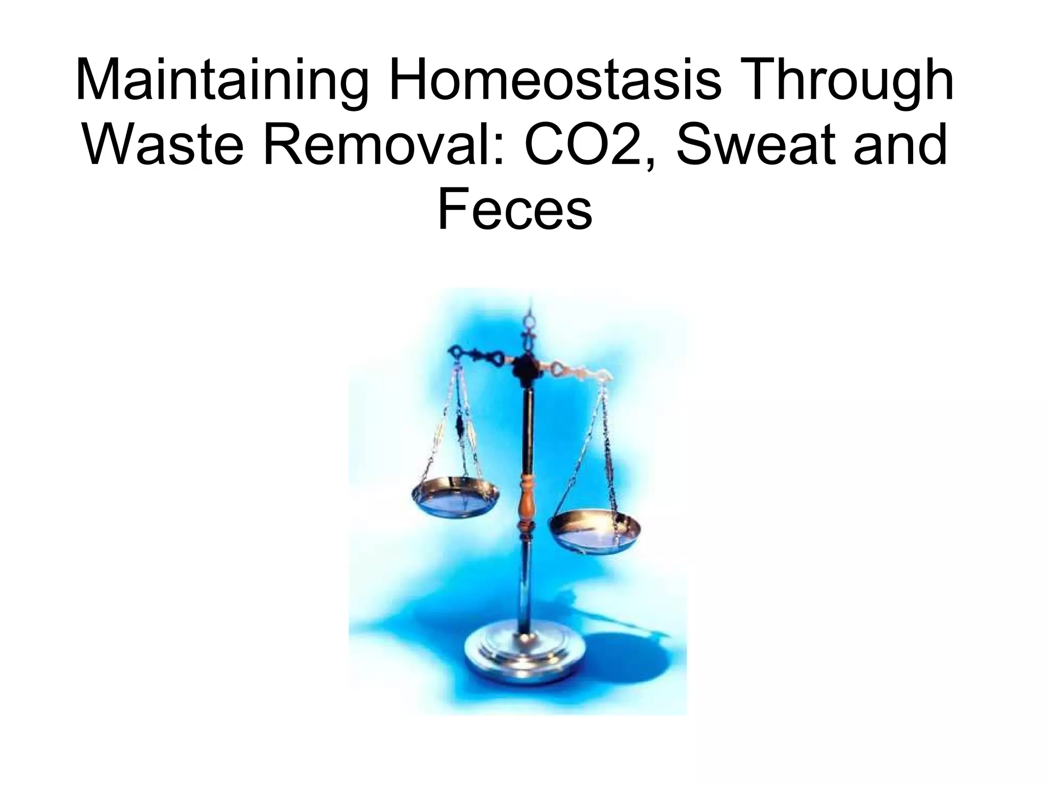Maintaining homeostasis through_waste_removal | PPT