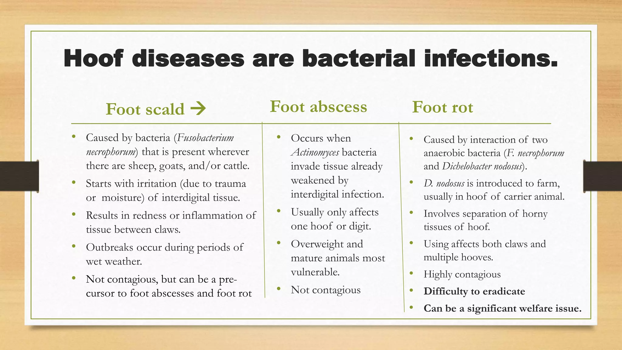 MaintainingHoofHealth | PPTX
