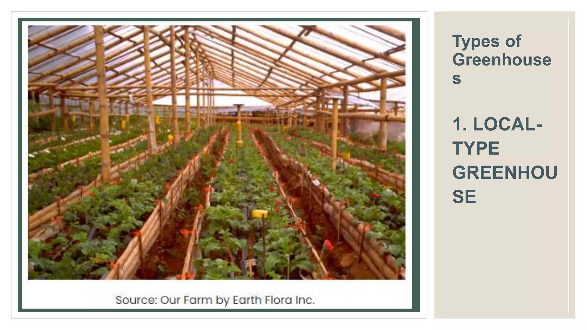 MAINTAIN NURSERY FACILITIES.pptx