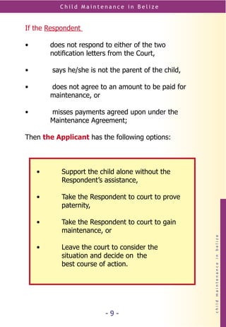 A Guide to Child Maintenance | PDF