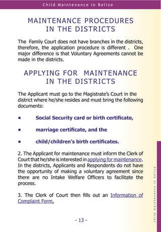 A Guide to Child Maintenance | PDF