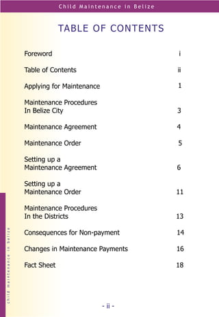 A Guide to Child Maintenance | PDF