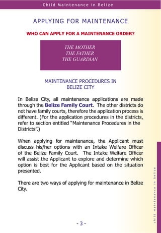 A Guide to Child Maintenance | PDF
