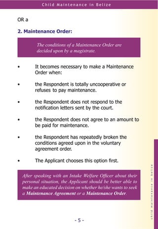 A Guide to Child Maintenance | PDF