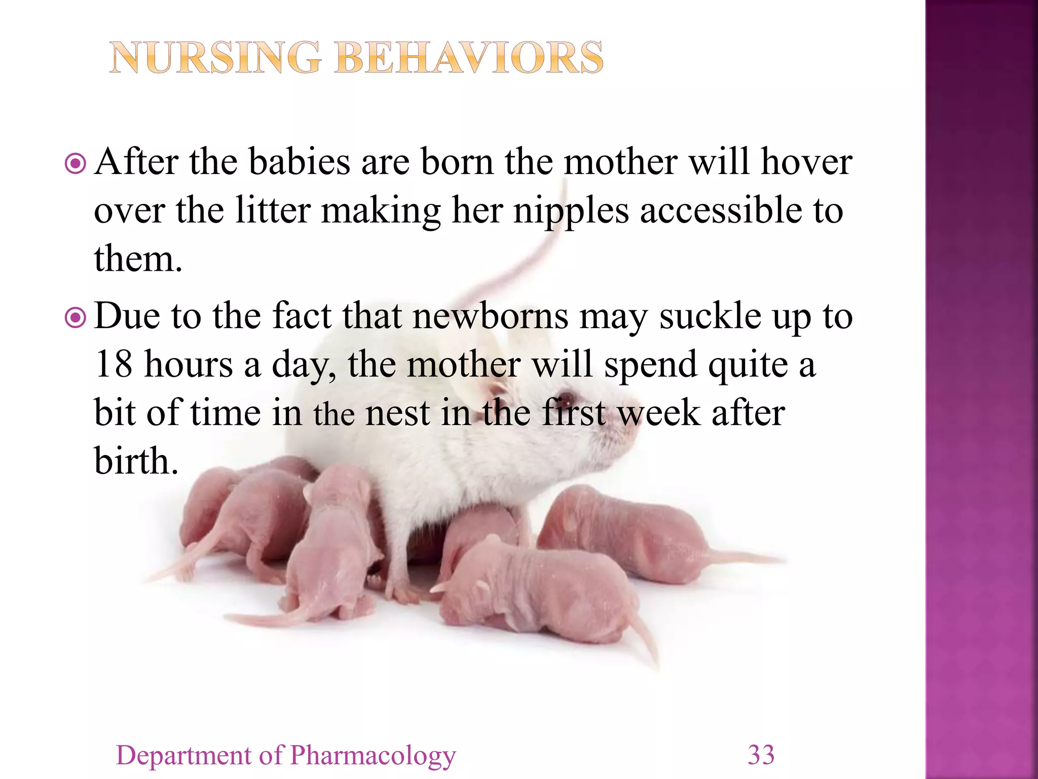 Maintenance and breeding of laboratory animals | PPTX
