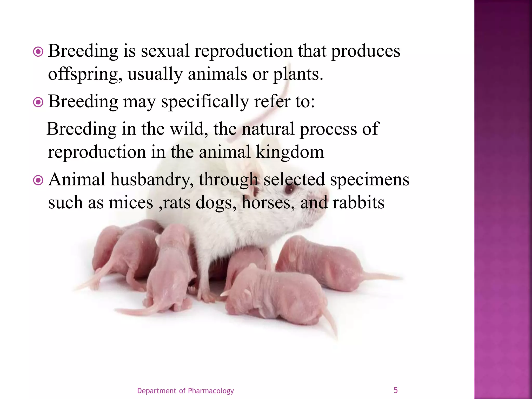 Maintenance and breeding of laboratory animals | PPTX