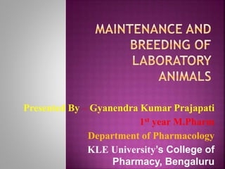Maintenance and breeding of laboratory animals | PPTX
