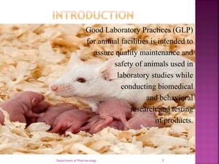 Maintenance and breeding of laboratory animals | PPTX