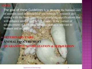 Maintenance and breeding of laboratory animals | PPTX