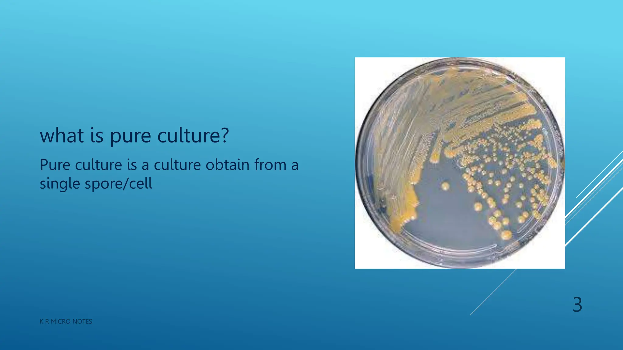 Maintenance and preservation of pure cultures | PPTX