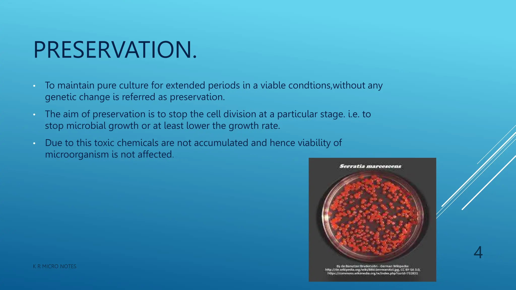 Maintenance and preservation of pure cultures | PPTX