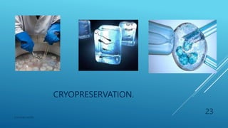 Maintenance and preservation of pure cultures | PPTX