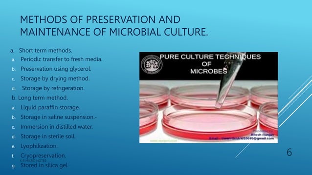 Maintenance and preservation of pure cultures | PPTX | Gardening | Home ...