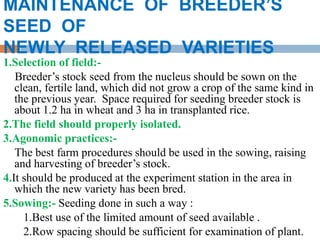 Maintenance breeding | PPTX