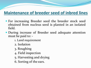 Maintenance breeding | PPTX