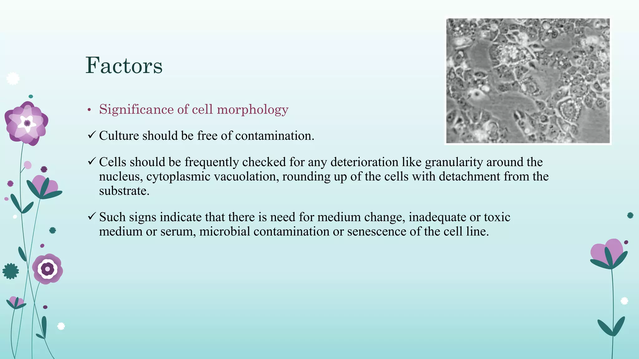 Maintenance of cell lines | PPTX