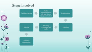 Maintenance of cell lines | PPTX