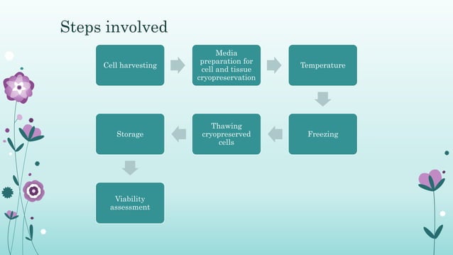 Maintenance of cell lines | PPTX | Biological Sciences | Science