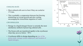 Maintenance of cell lines | PPTX