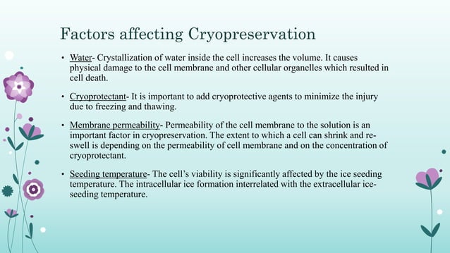 Maintenance of cell lines | PPTX | Biological Sciences | Science