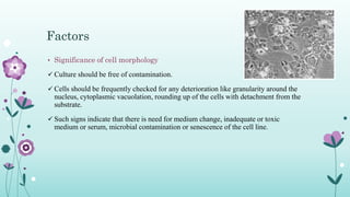 Maintenance of cell lines | PPTX