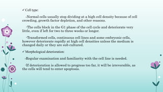 Maintenance of cell lines | PPTX