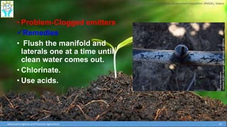 Maintenance of drip irrigation system | PPTX