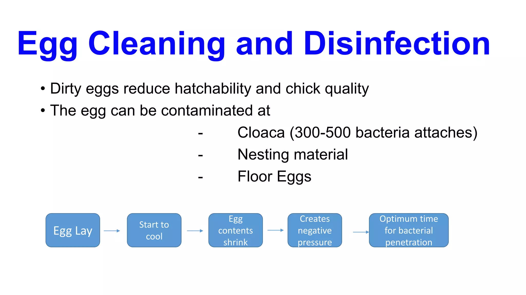 Maintenance of hatching egg quality | PPSX