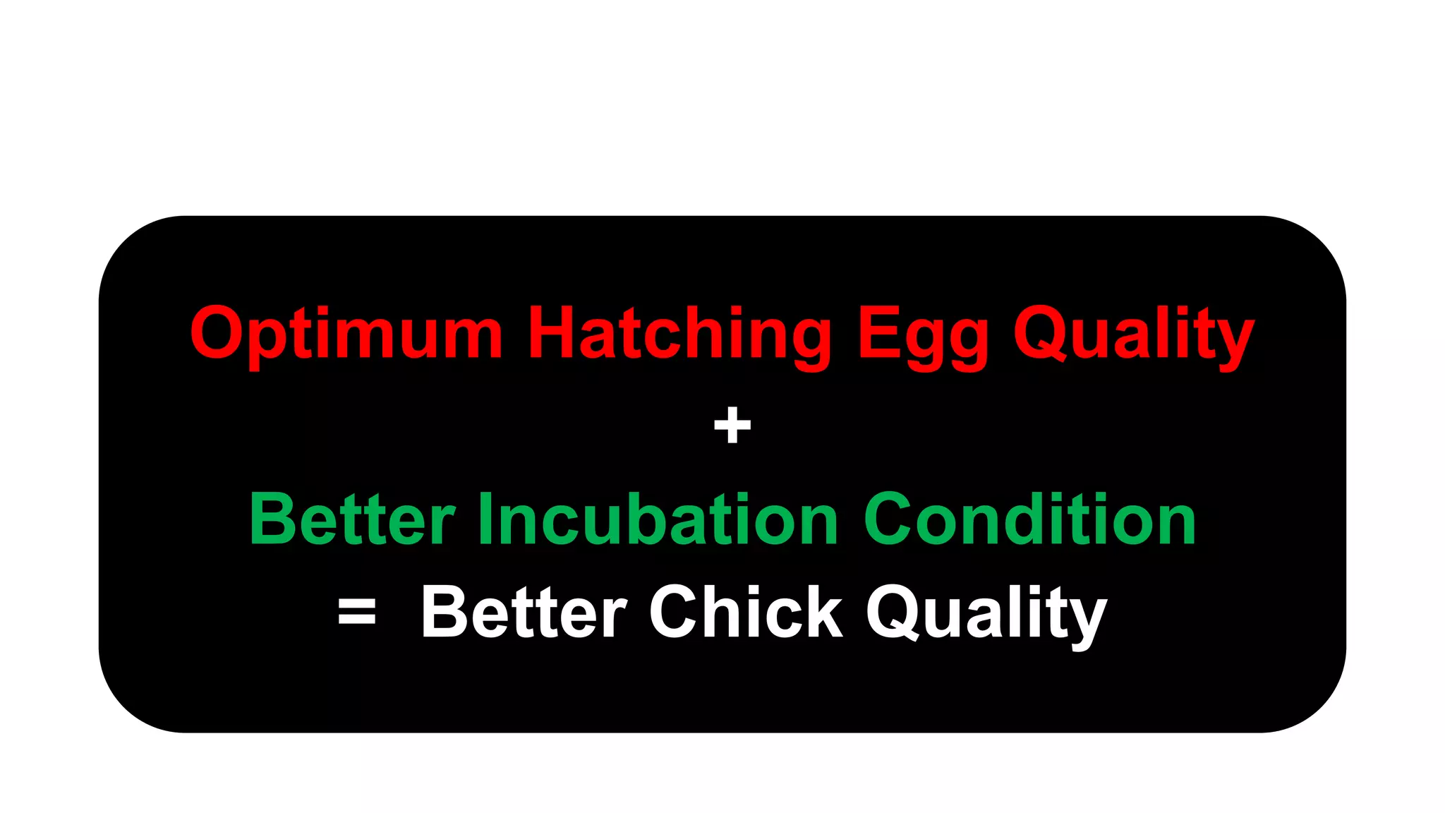 Maintenance of hatching egg quality | PPSX