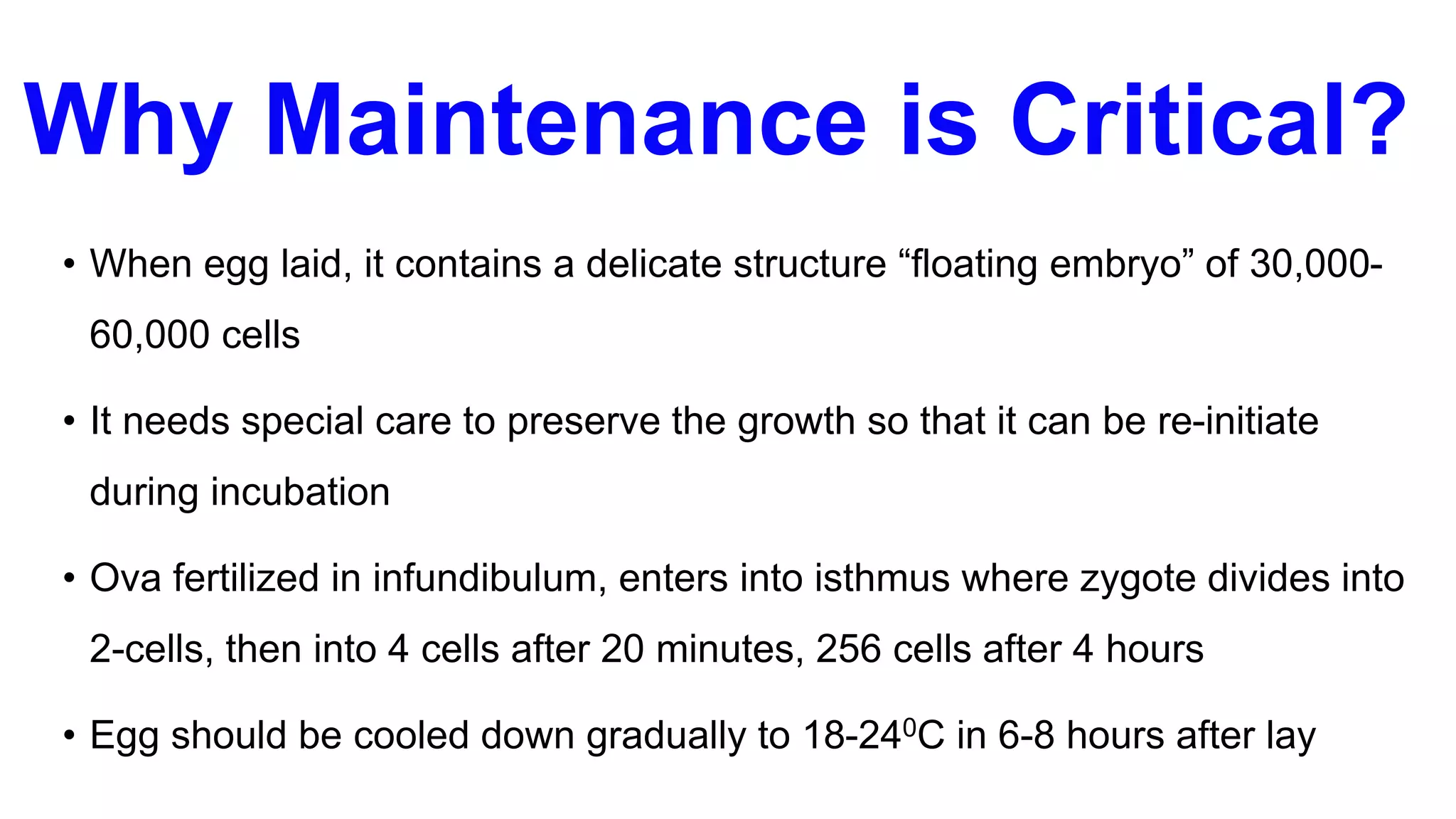 Maintenance of hatching egg quality | PPSX