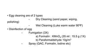 Maintenance of hatching egg quality | PPSX
