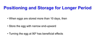 Maintenance of hatching egg quality | PPSX