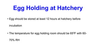 Maintenance of hatching egg quality | PPSX