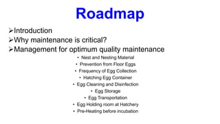 Maintenance of hatching egg quality | PPSX