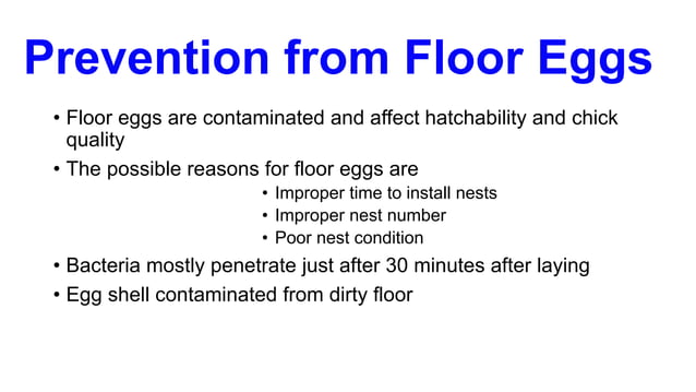 Maintenance of hatching egg quality | PPSX
