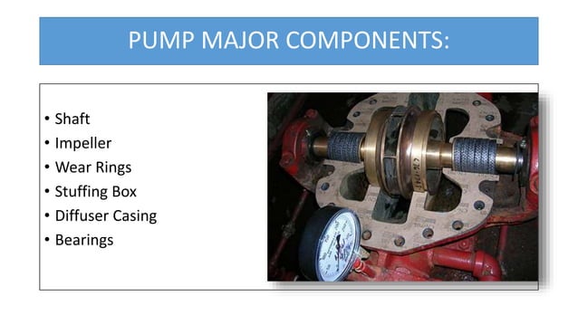 Maintenance of Pumps | PPTX | Auto Repair | Automotive