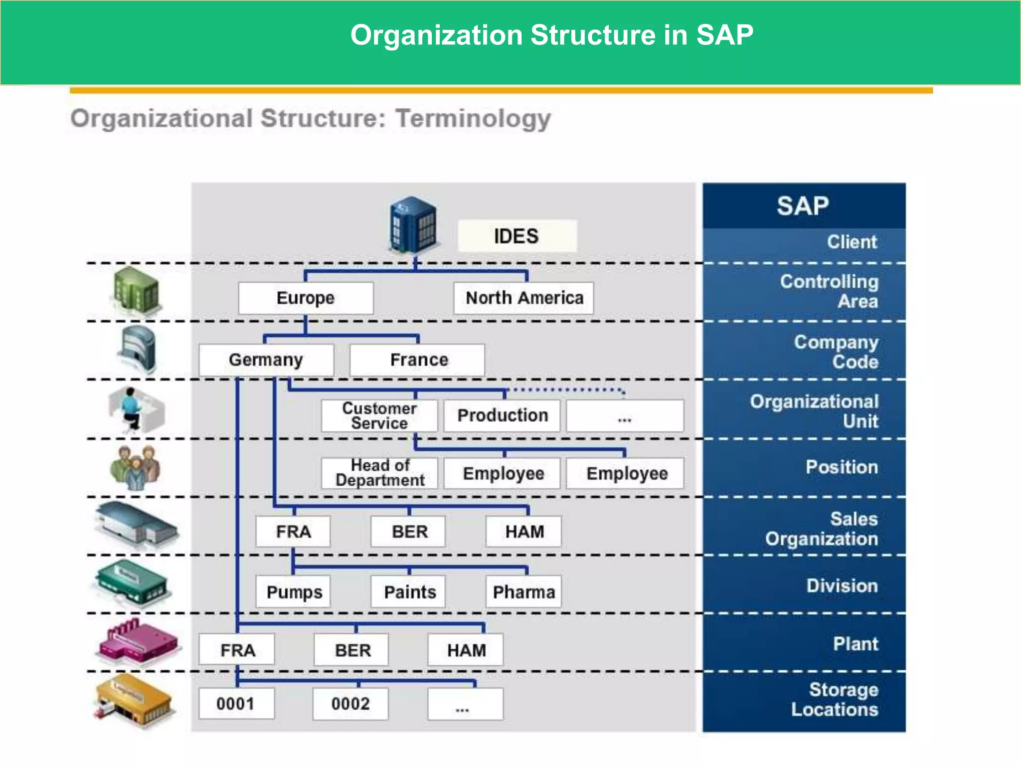 SAP EAM/PM Organization Structure | PPTX | Business | Business and Finance