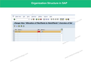 SAP EAM/PM Organization Structure | PPTX