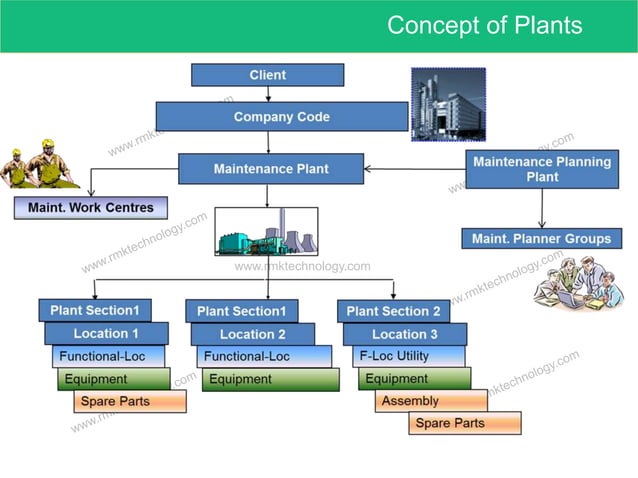 SAP EAM/PM Organization Structure | PPTX | Business | Business and Finance
