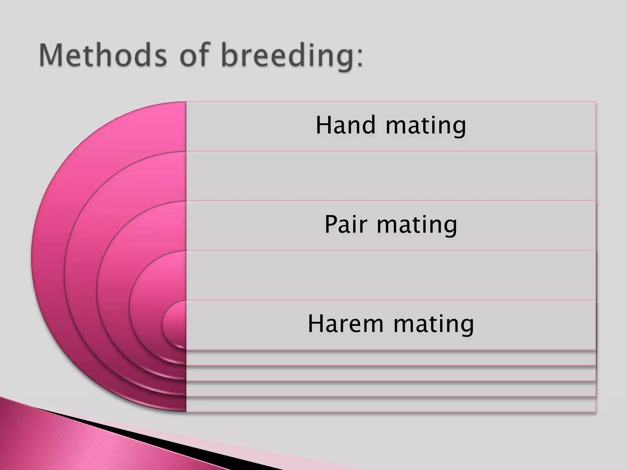 Maintence and breeding of laboratory animals | PPTX