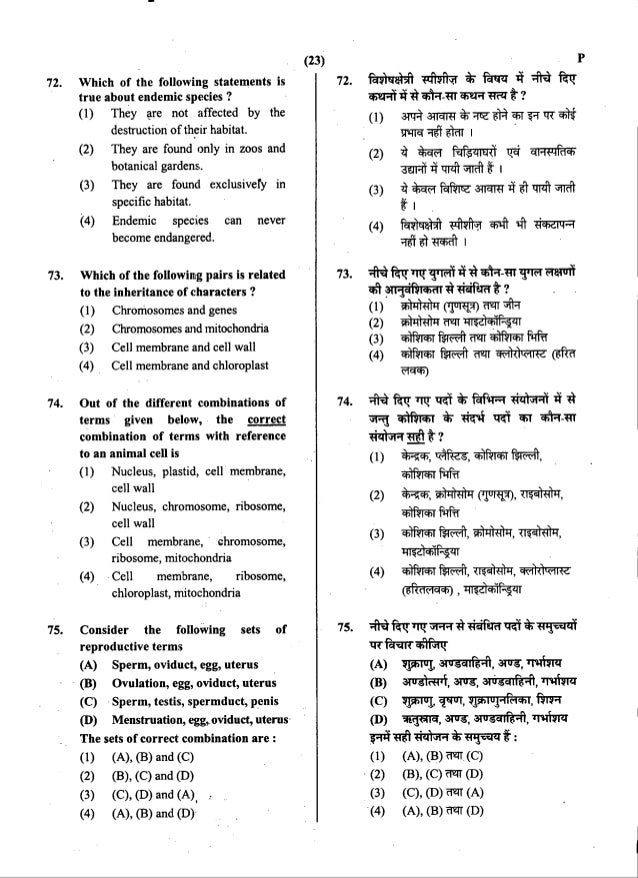Ctet Model Examsquestions Ctet Model Examsquestions
