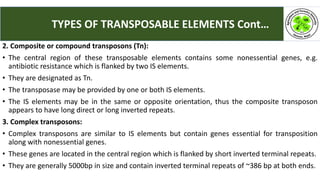 MAIN TRANSPOSABLE GENETICS ASSIMENT.pptx