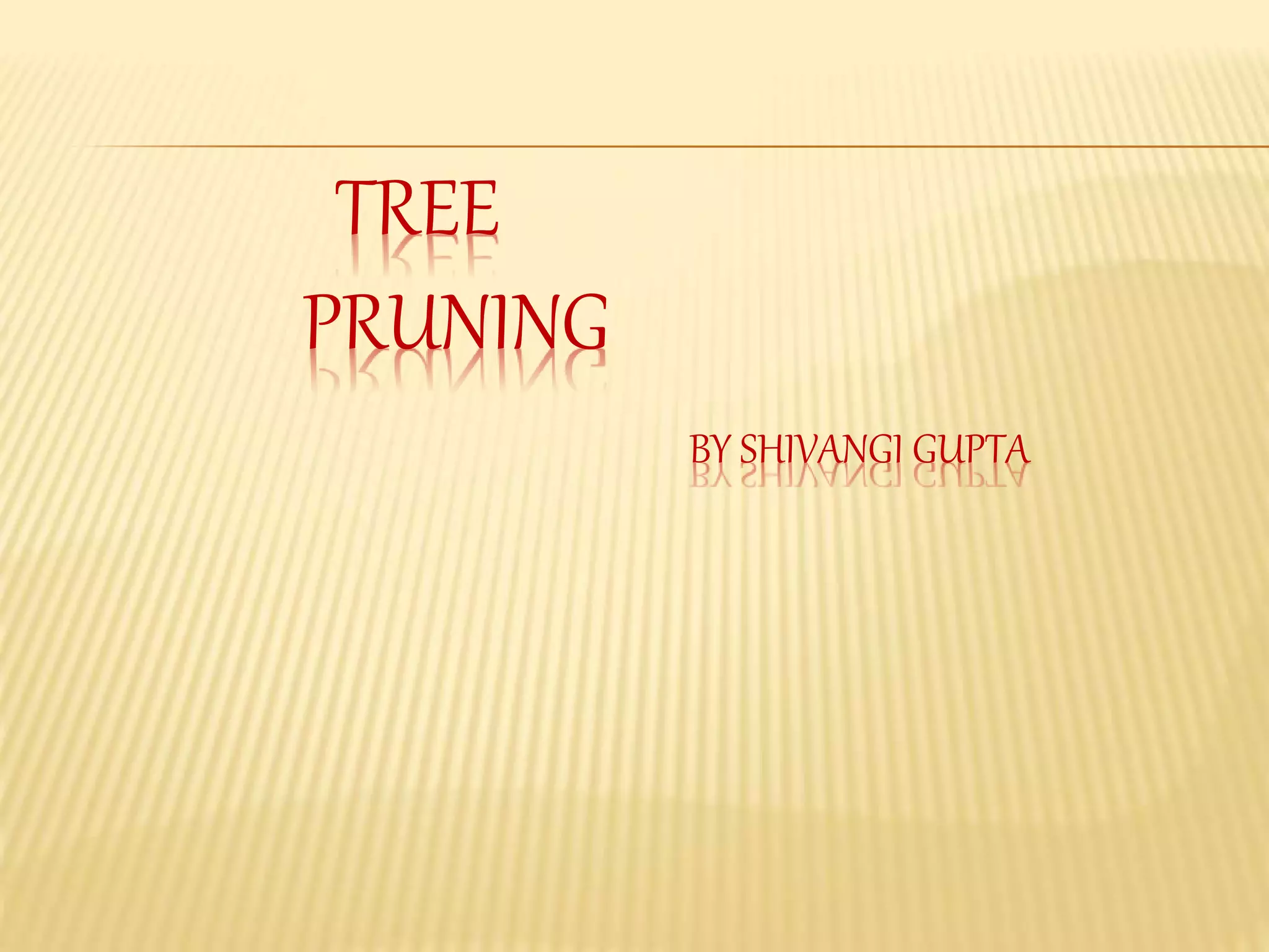 Tree pruning | PPTX