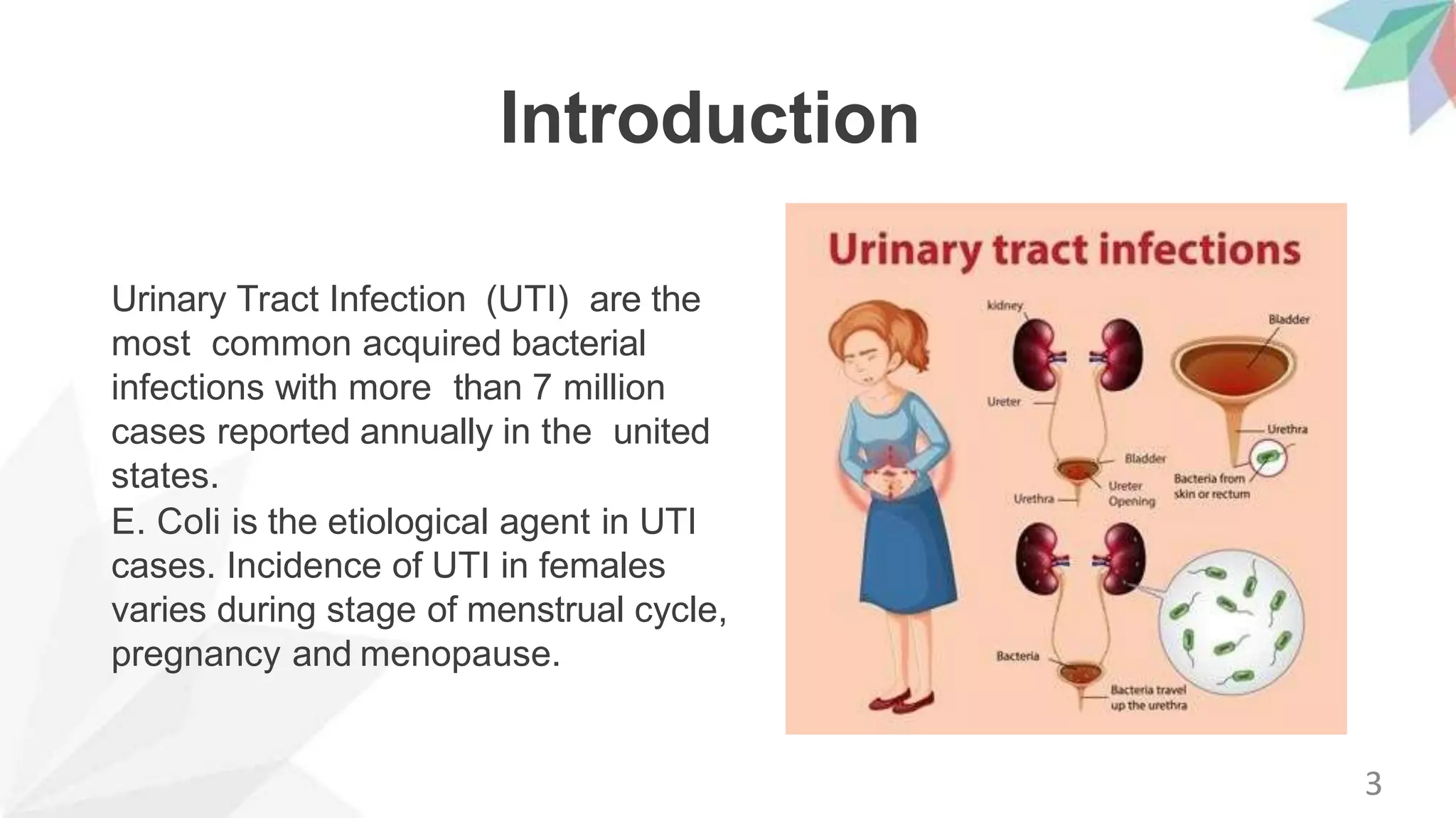 URINRY TRACT INFECTION (UTI) in PREGNANCY | PPTX