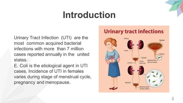 URINRY TRACT INFECTION (UTI) in PREGNANCY | PPTX