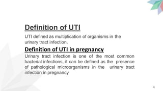 URINRY TRACT INFECTION (UTI) in PREGNANCY | PPTX