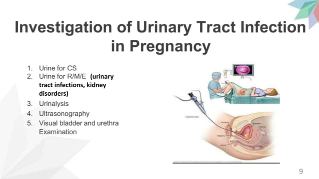 URINRY TRACT INFECTION (UTI) in PREGNANCY | PPTX