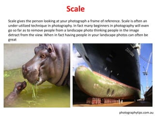 Main visual elements | PPTX